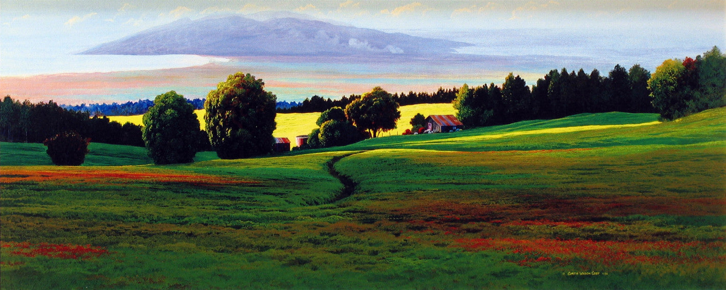 Cane Fire - The Curtis Wilson Cost Gallery